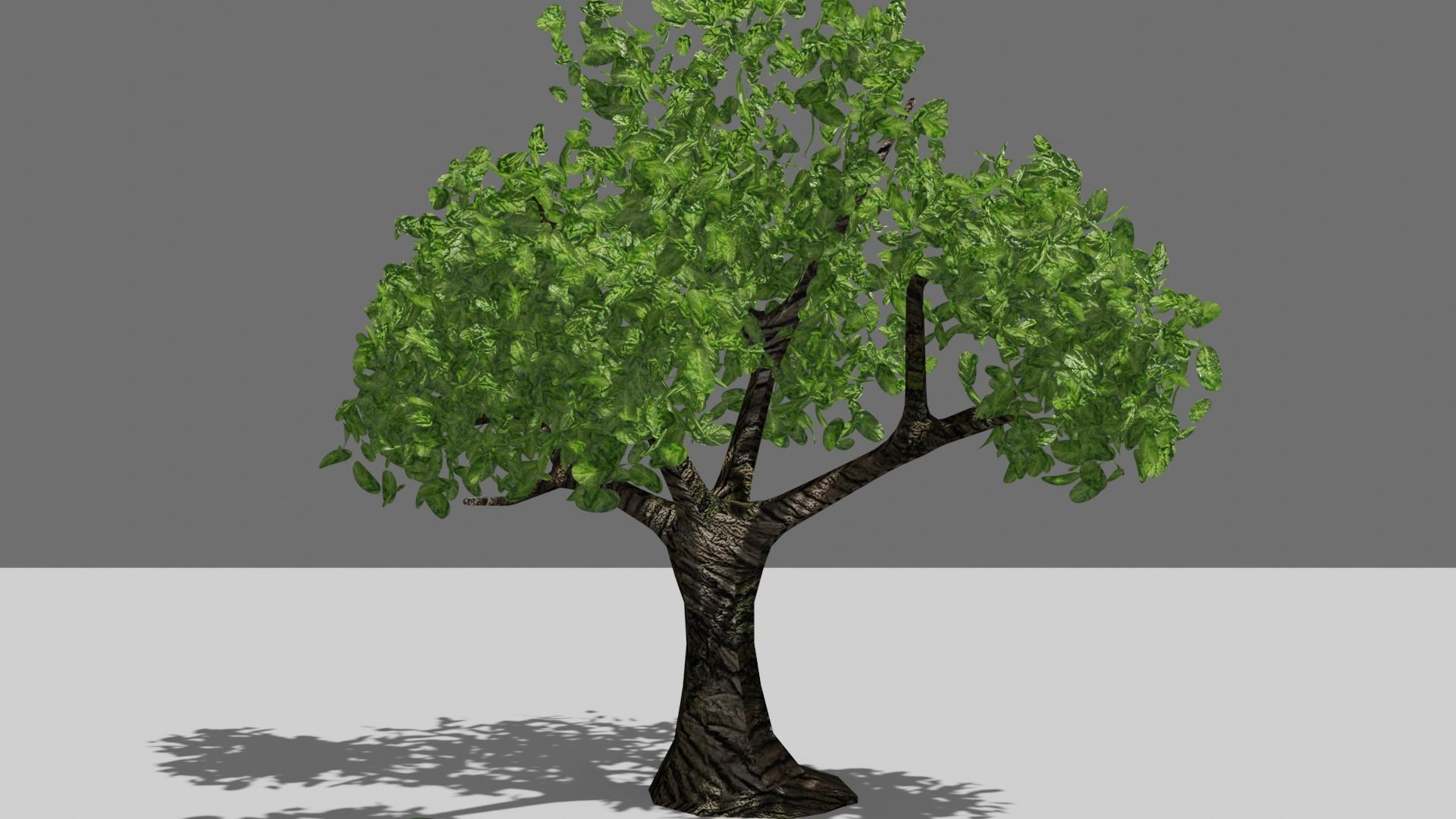 Tree PBR Free free VR / AR / low-poly 3D model | CGTrader