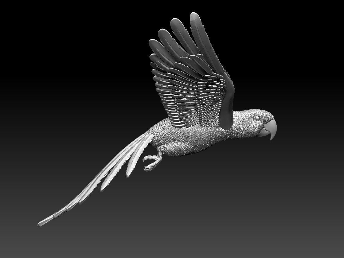 parrot flying in air 3D model 3D printable | CGTrader