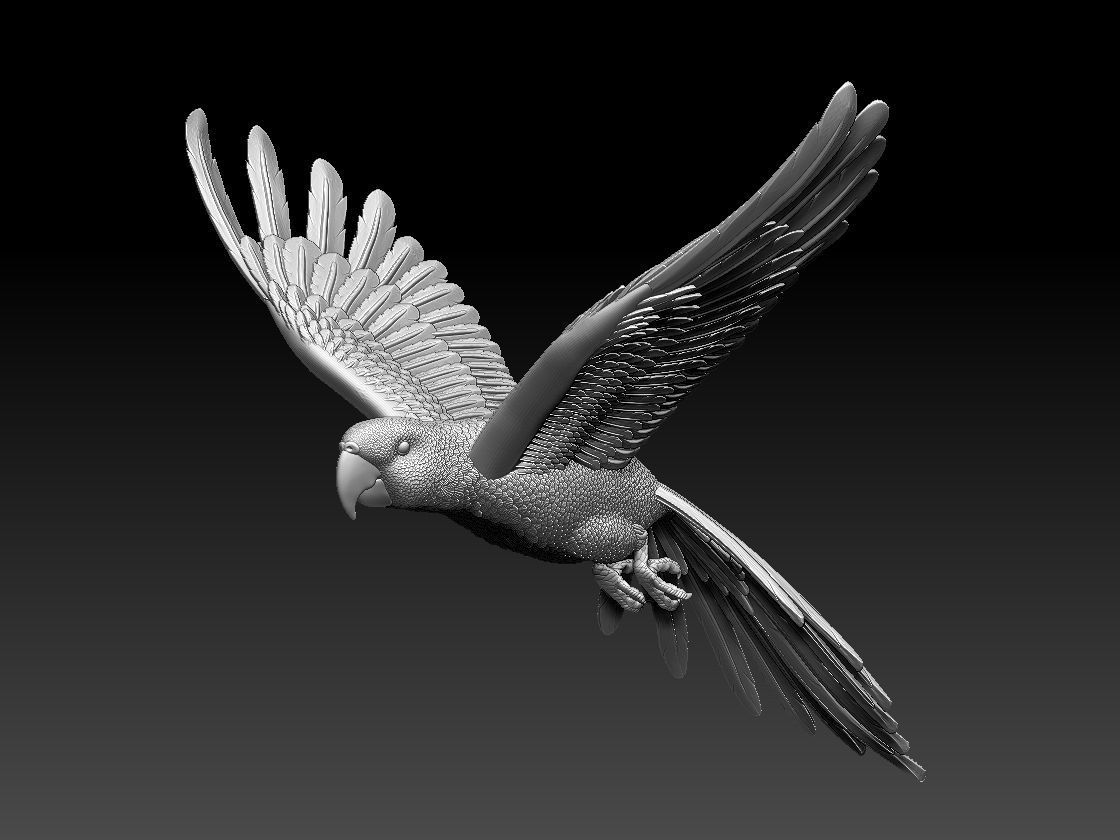parrot flying in air 3D model 3D printable | CGTrader