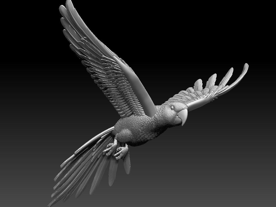 parrot flying in air 3D model 3D printable | CGTrader