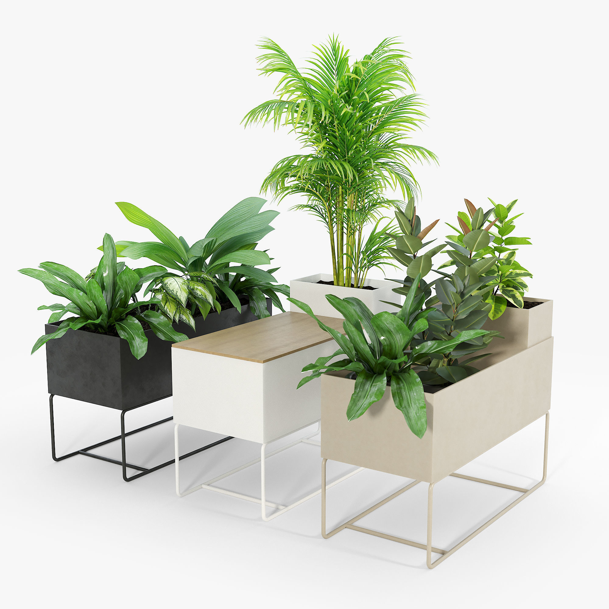 Plant Box - Large 3D model | CGTrader