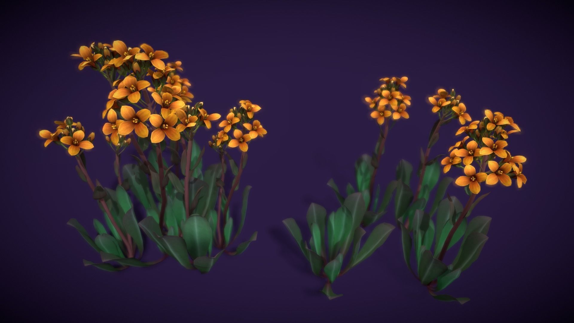 3D model Flower Daggerpod VR / AR / low-poly | CGTrader