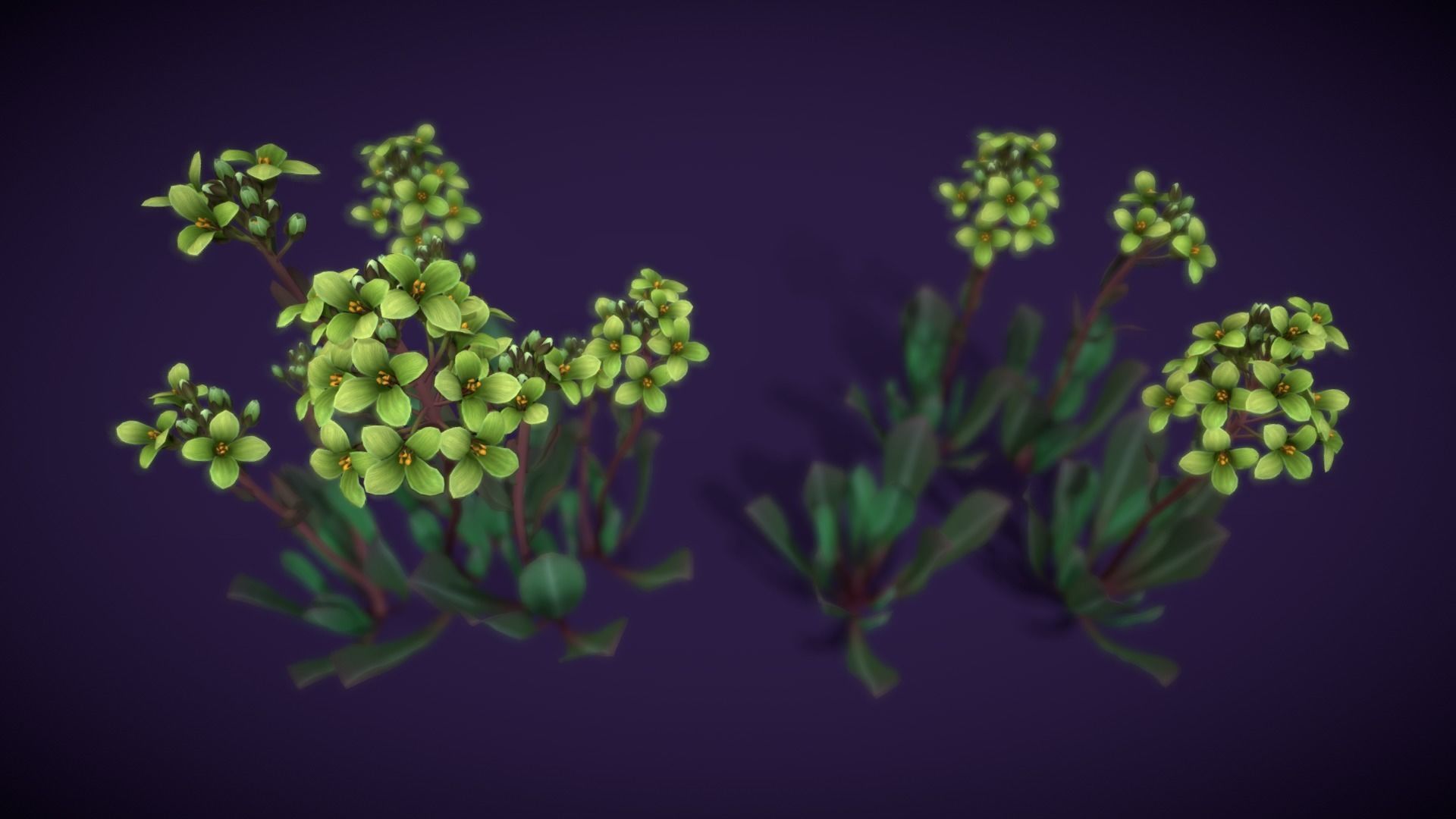 3D model Flower Daggerpod VR / AR / low-poly | CGTrader