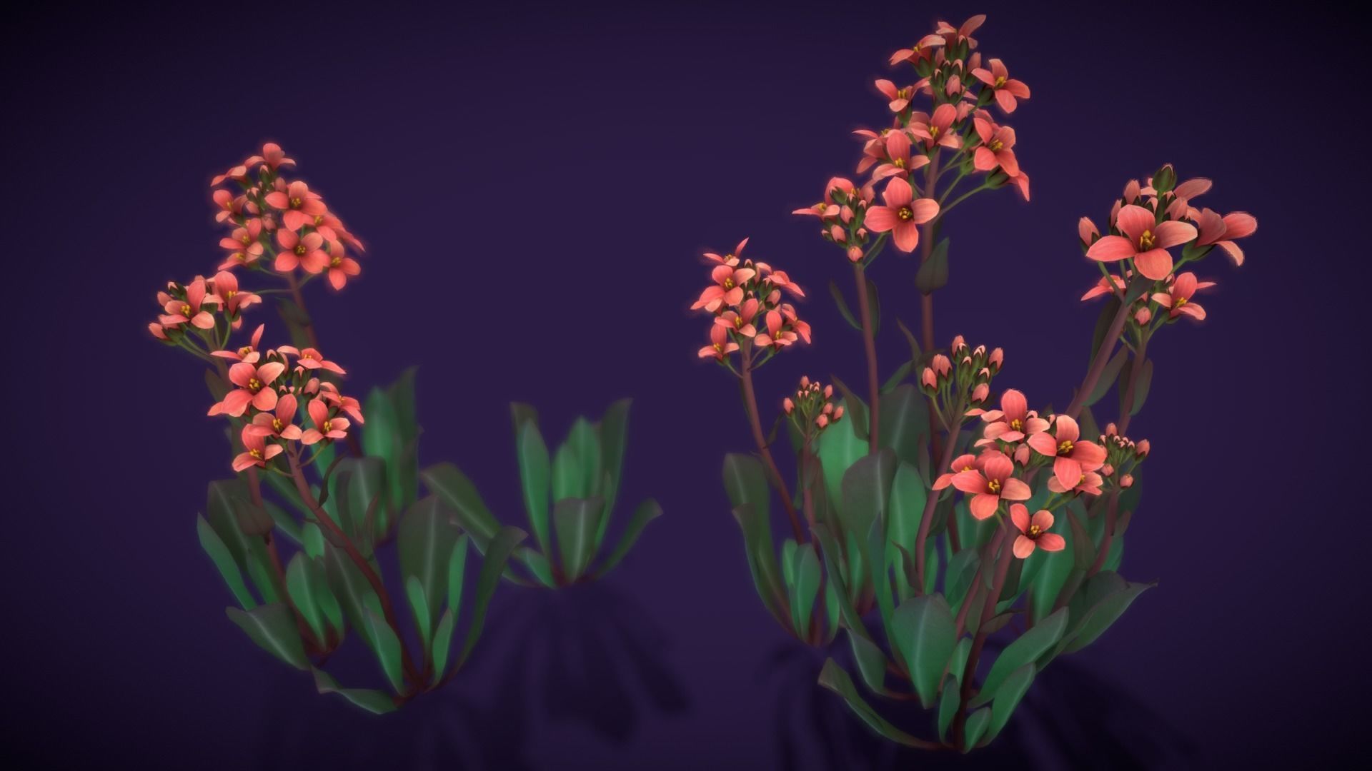 3D model Flower Daggerpod VR / AR / low-poly | CGTrader