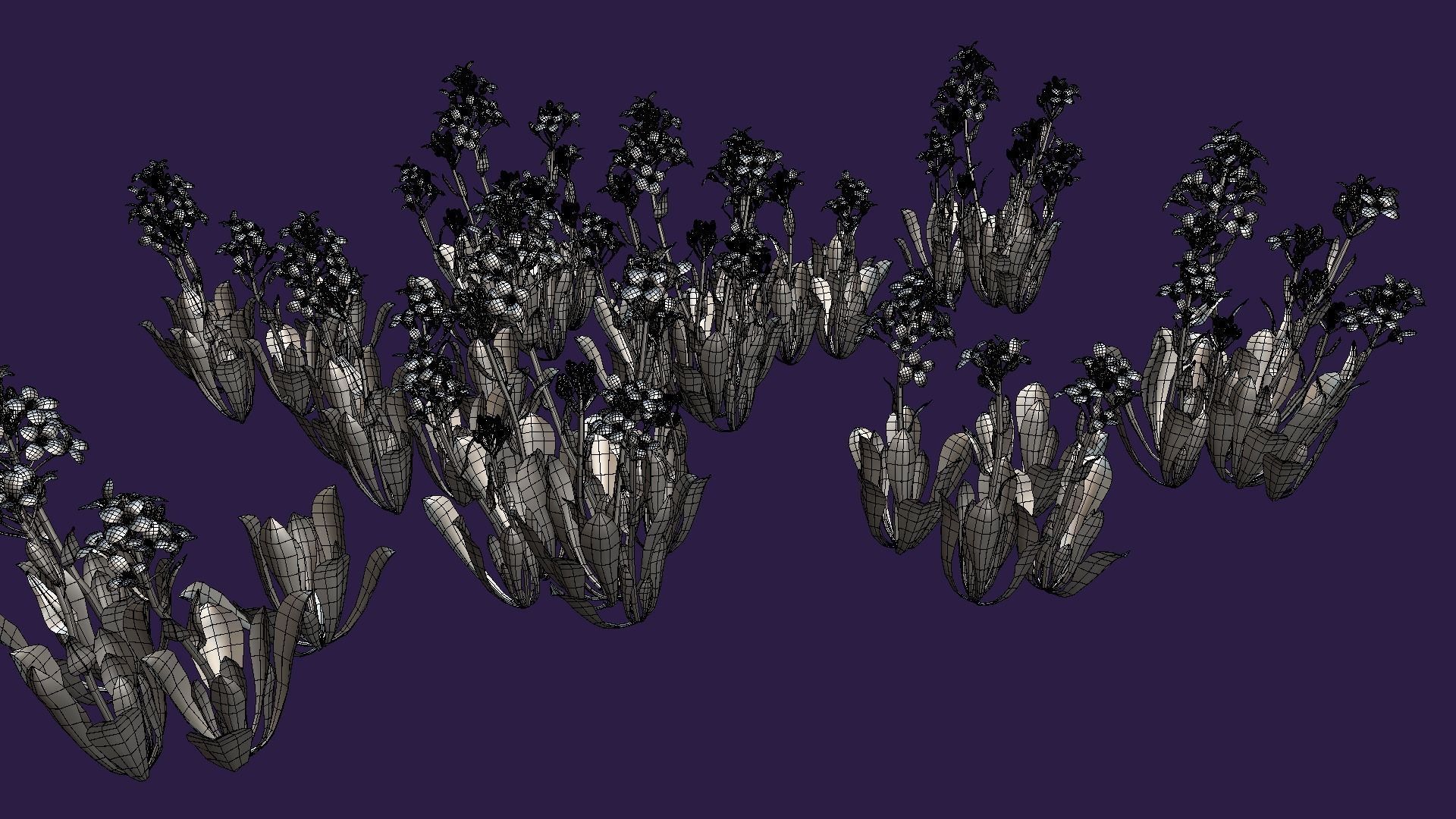 3D model Flower Daggerpod VR / AR / low-poly | CGTrader