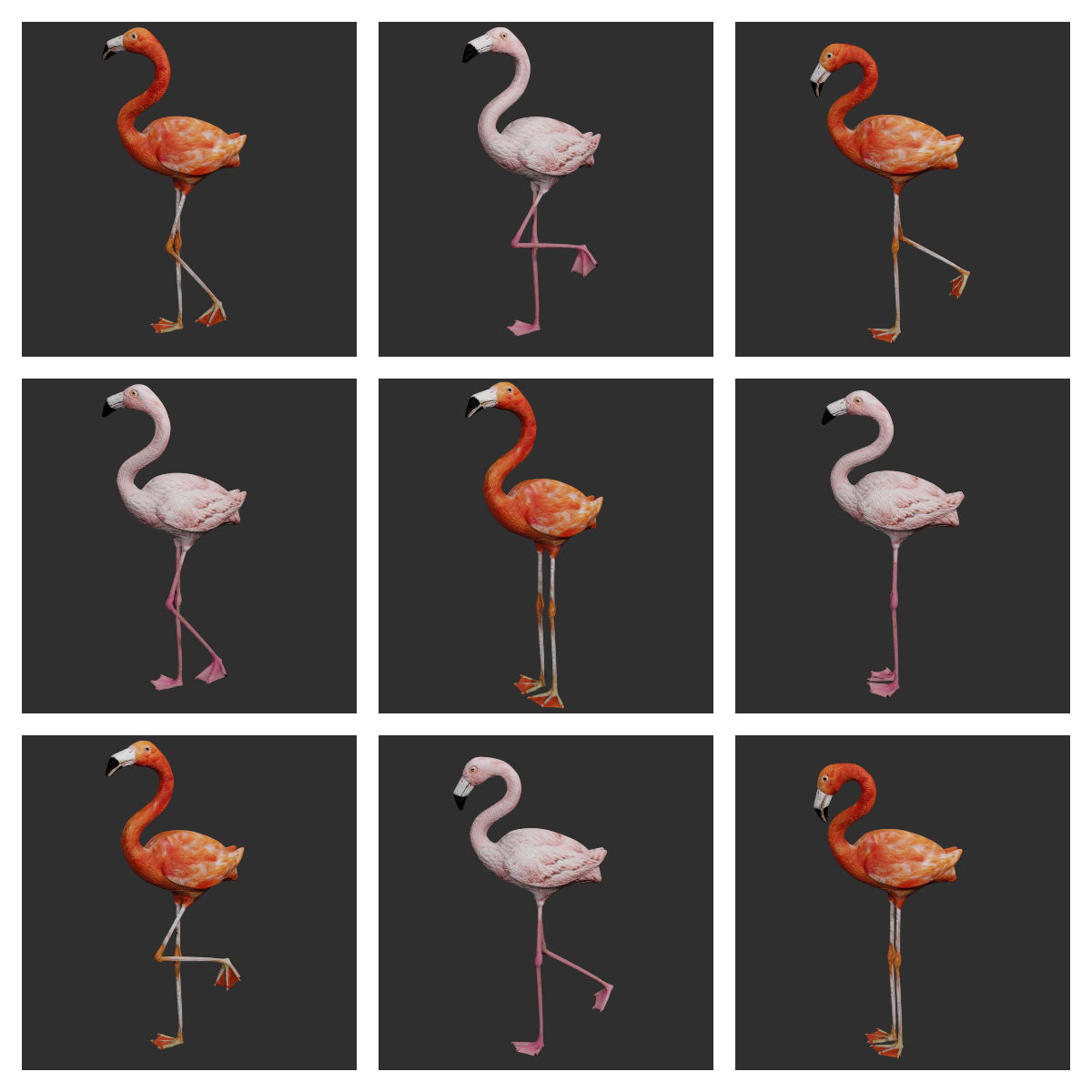 3D Model Collection Flamingo VR / AR / low-poly | CGTrader