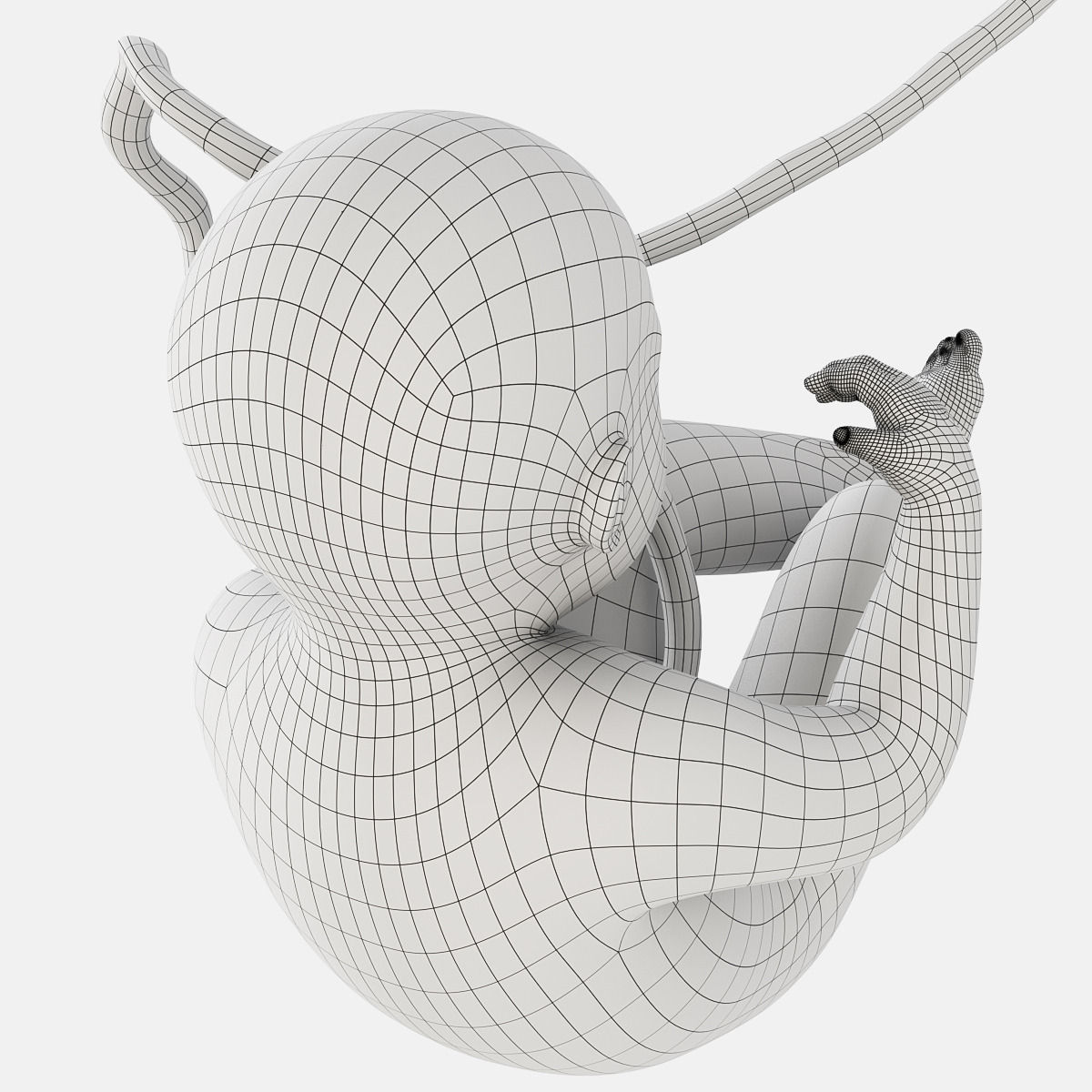 Fetus baby in womb 3D model | CGTrader