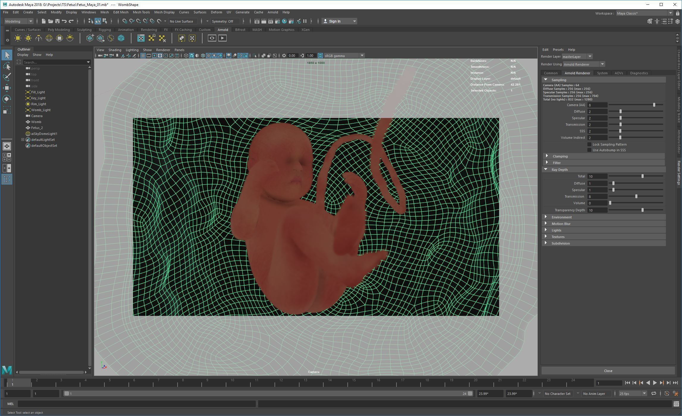 Fetus baby in womb 3D model | CGTrader
