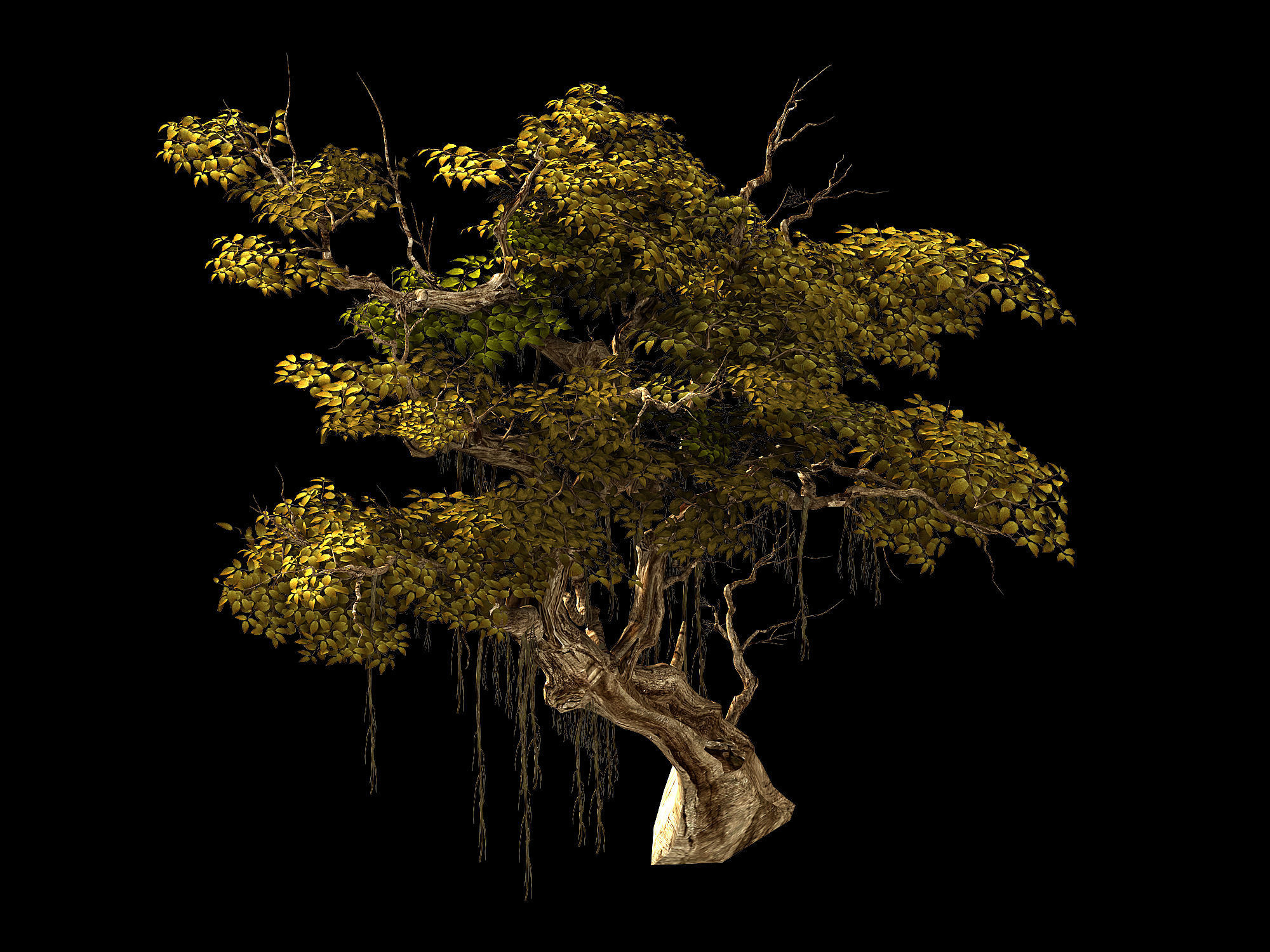 Flower and Fruit Mountain-Tree 02 3D model | CGTrader