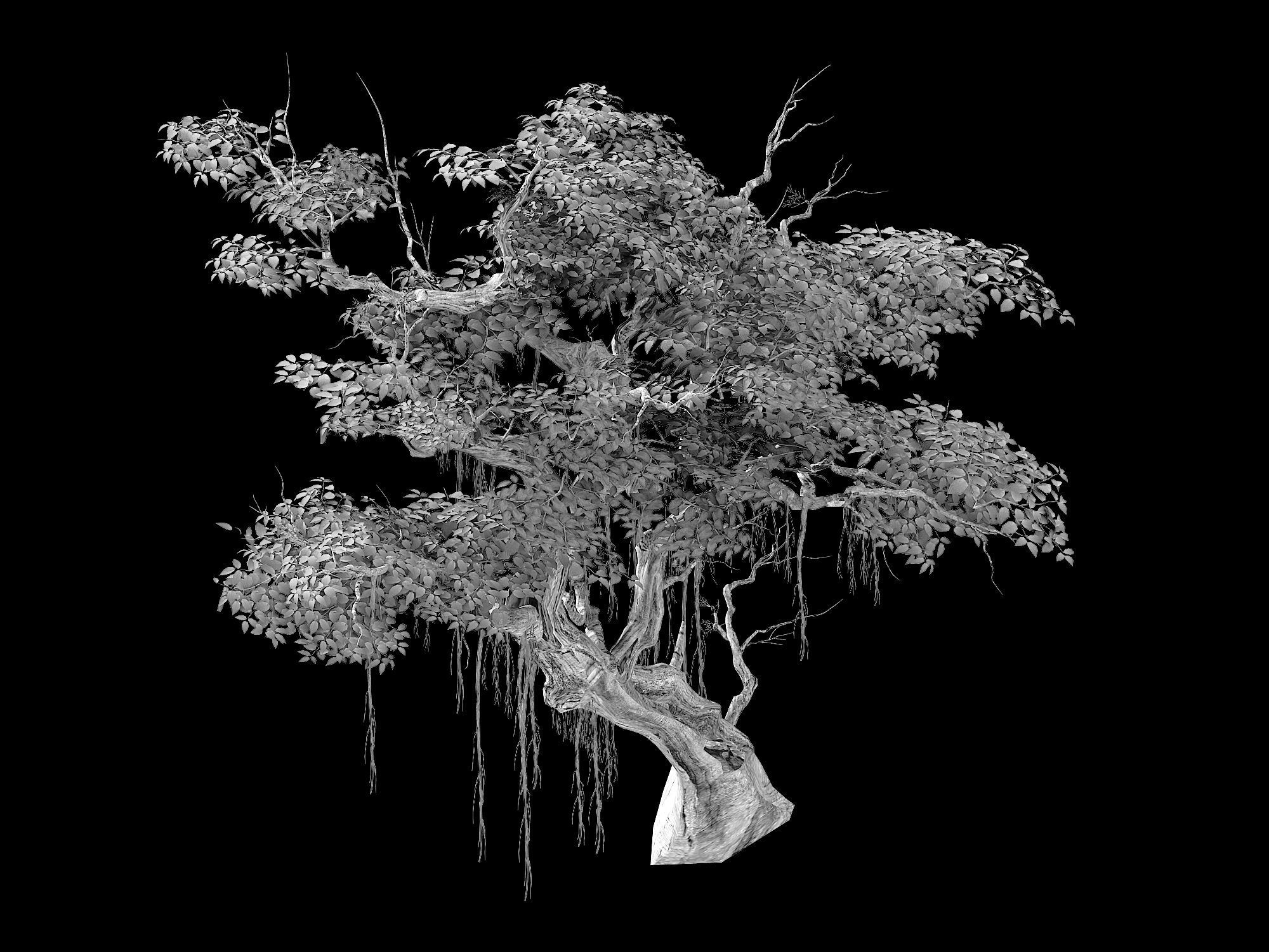 Flower and Fruit Mountain-Tree 02 3D model | CGTrader
