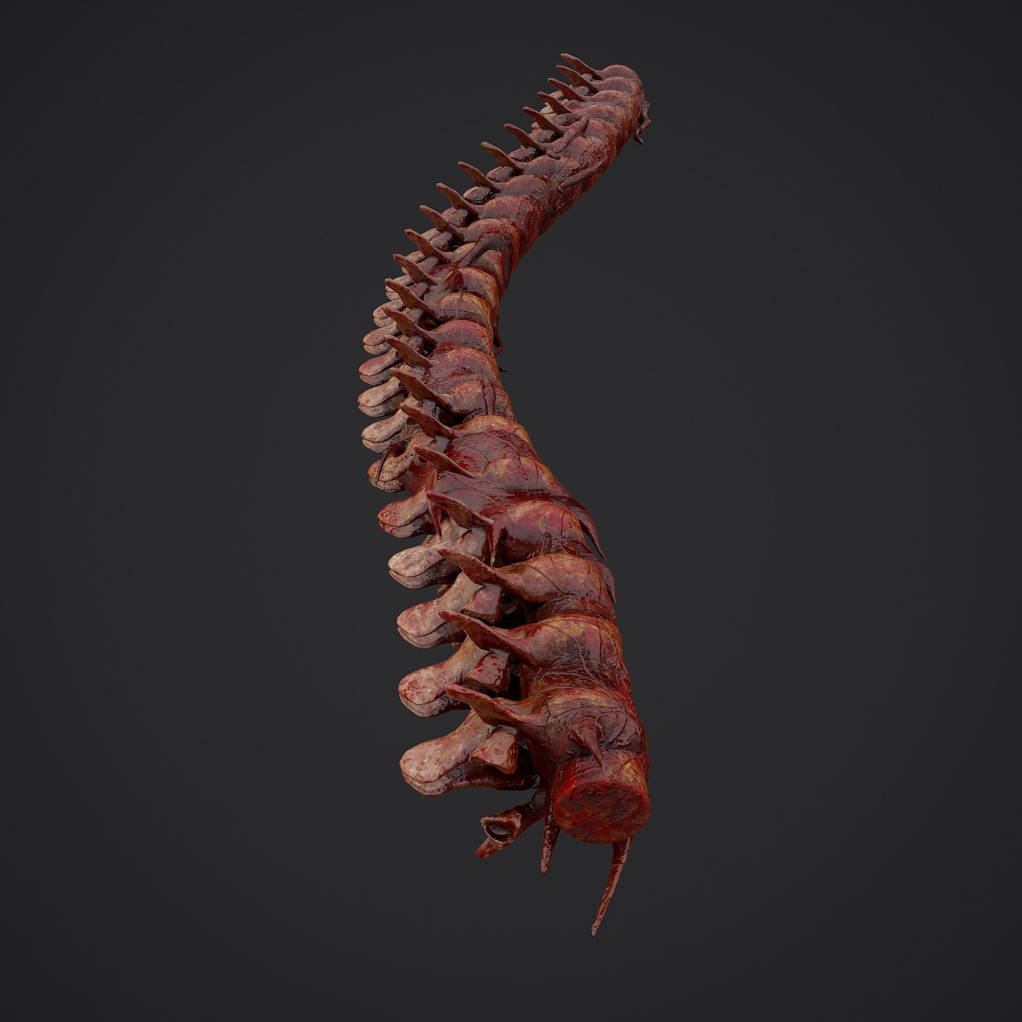 3D model Bloody Spine VR / AR / low-poly | CGTrader