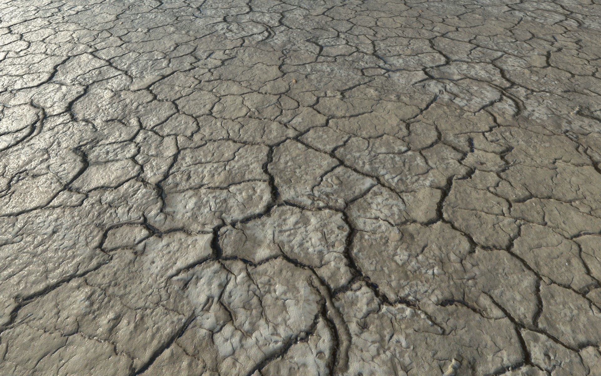 Set of 12 Various Dry Cracked Soil Textures PBR Volume 3 Texture | CGTrader