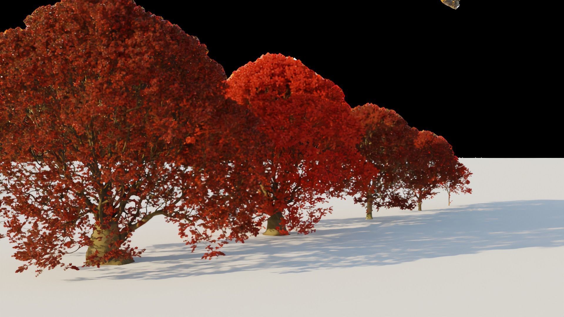 Pack of 6 Maple trees 3D model | CGTrader