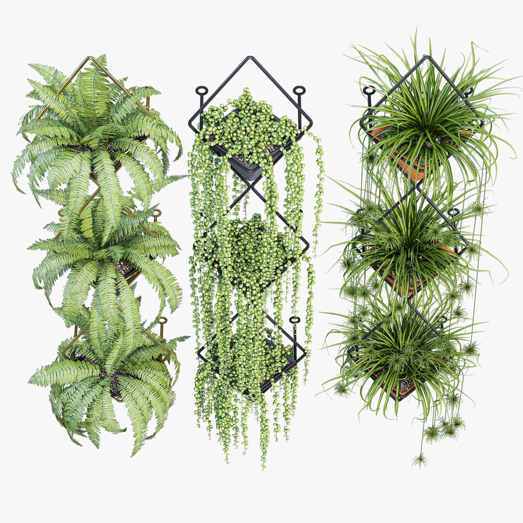 Rhombus group of plants hanging 3D model | CGTrader