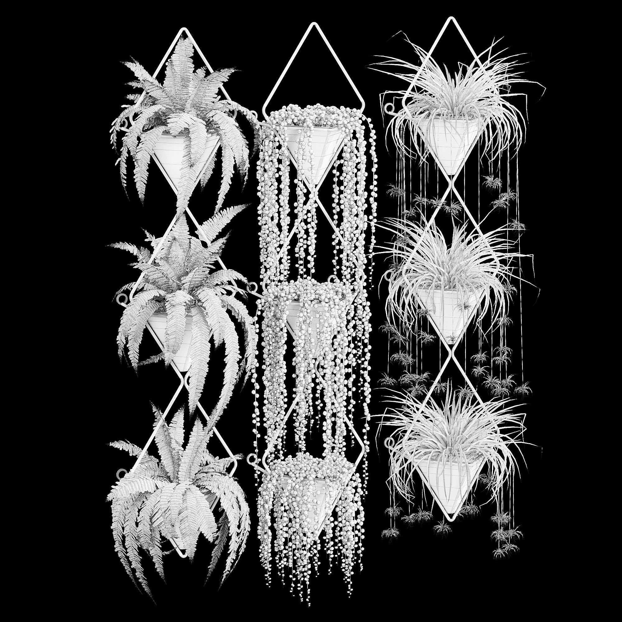 Rhombus group of plants hanging 3D model | CGTrader