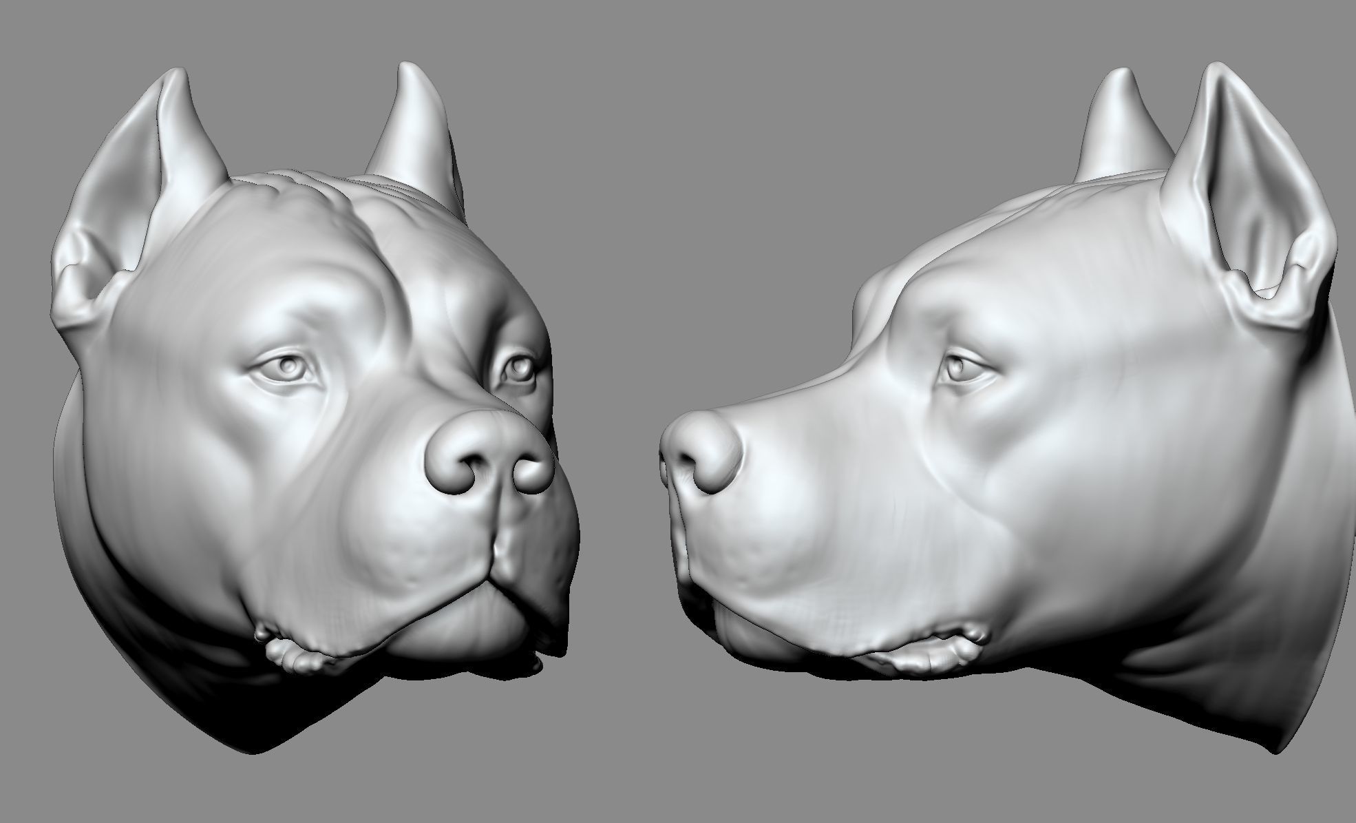 Dogo Dog Head 3D model 3D printable | CGTrader