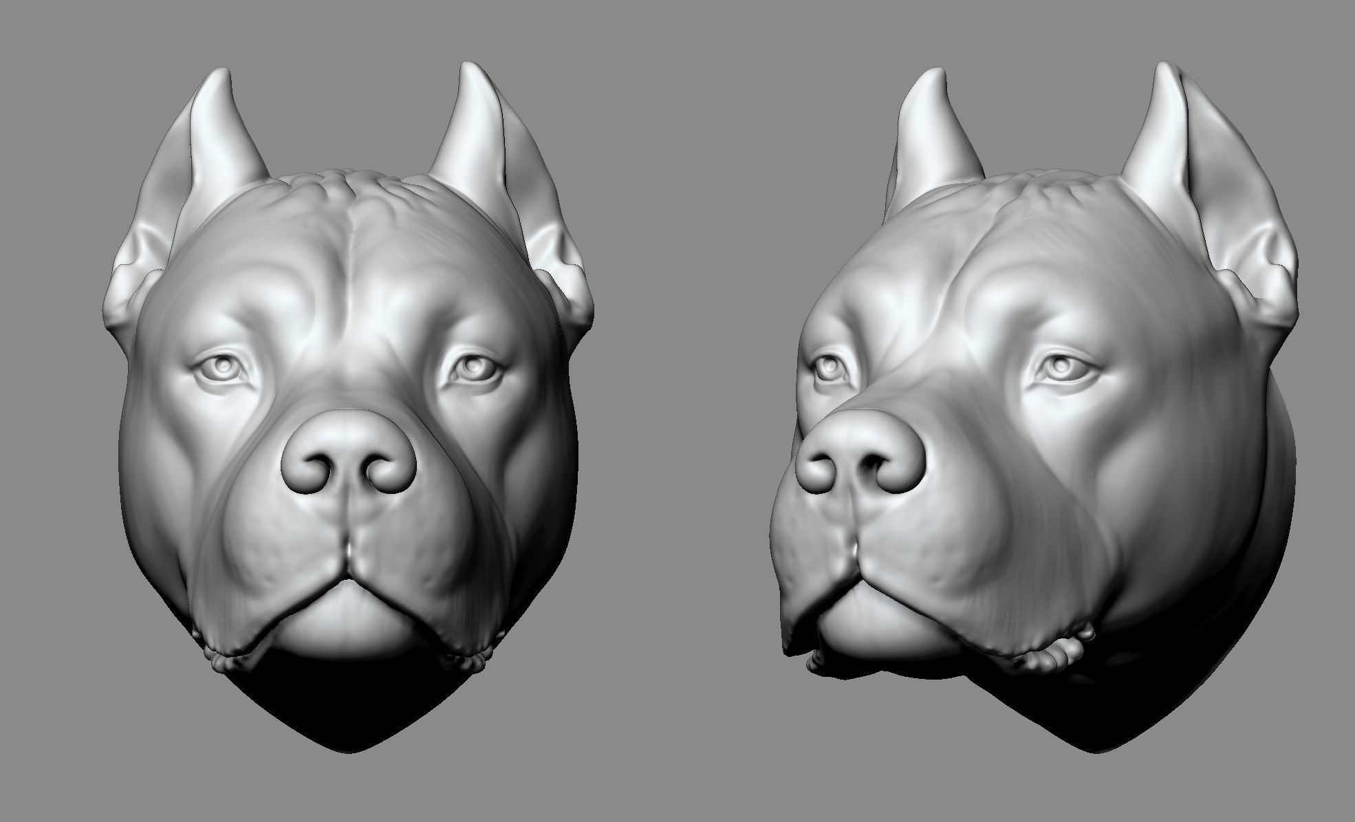 Dogo Dog Head 3D model 3D printable | CGTrader