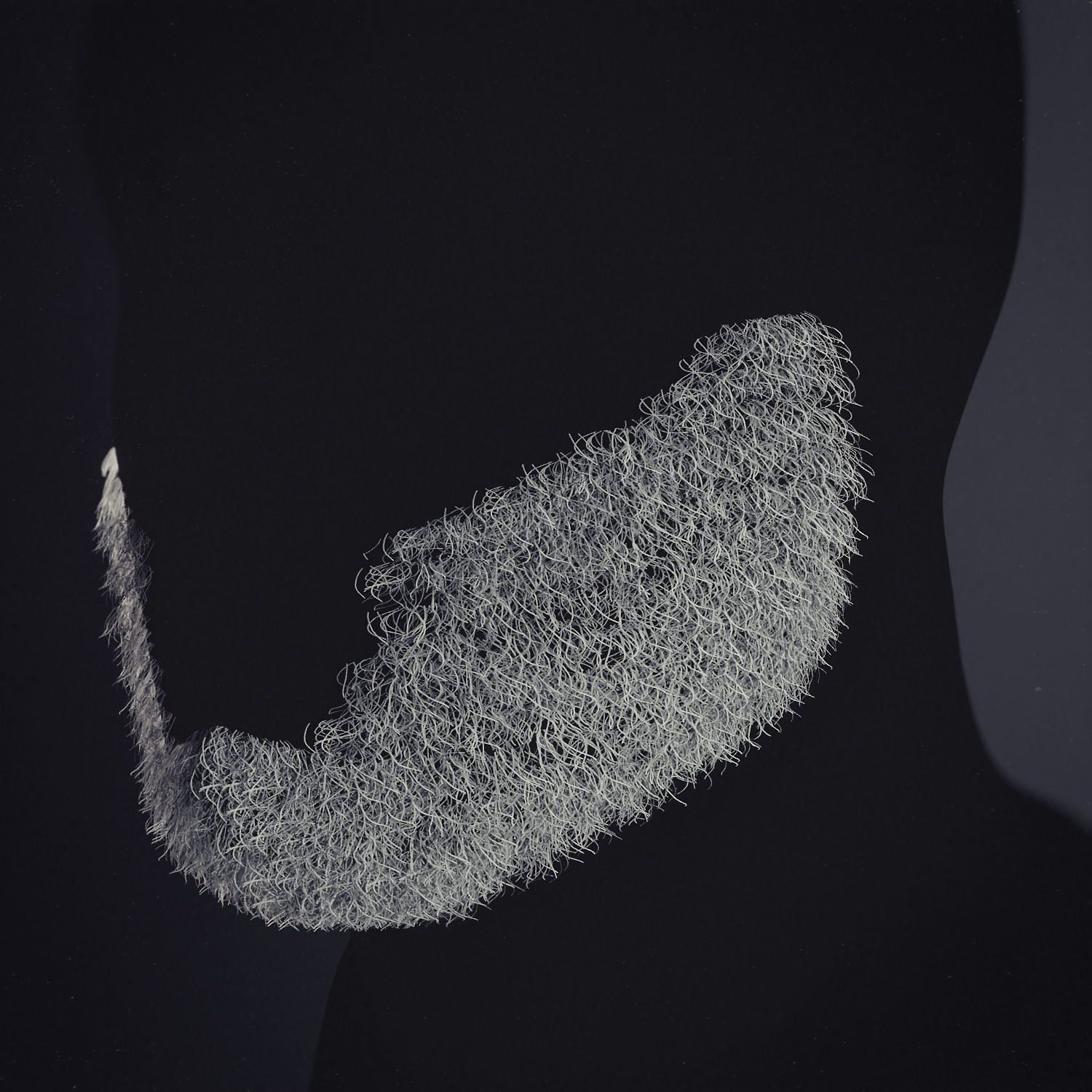 3D model Beard Blender Low Poly 7 VR / AR / low-poly | CGTrader