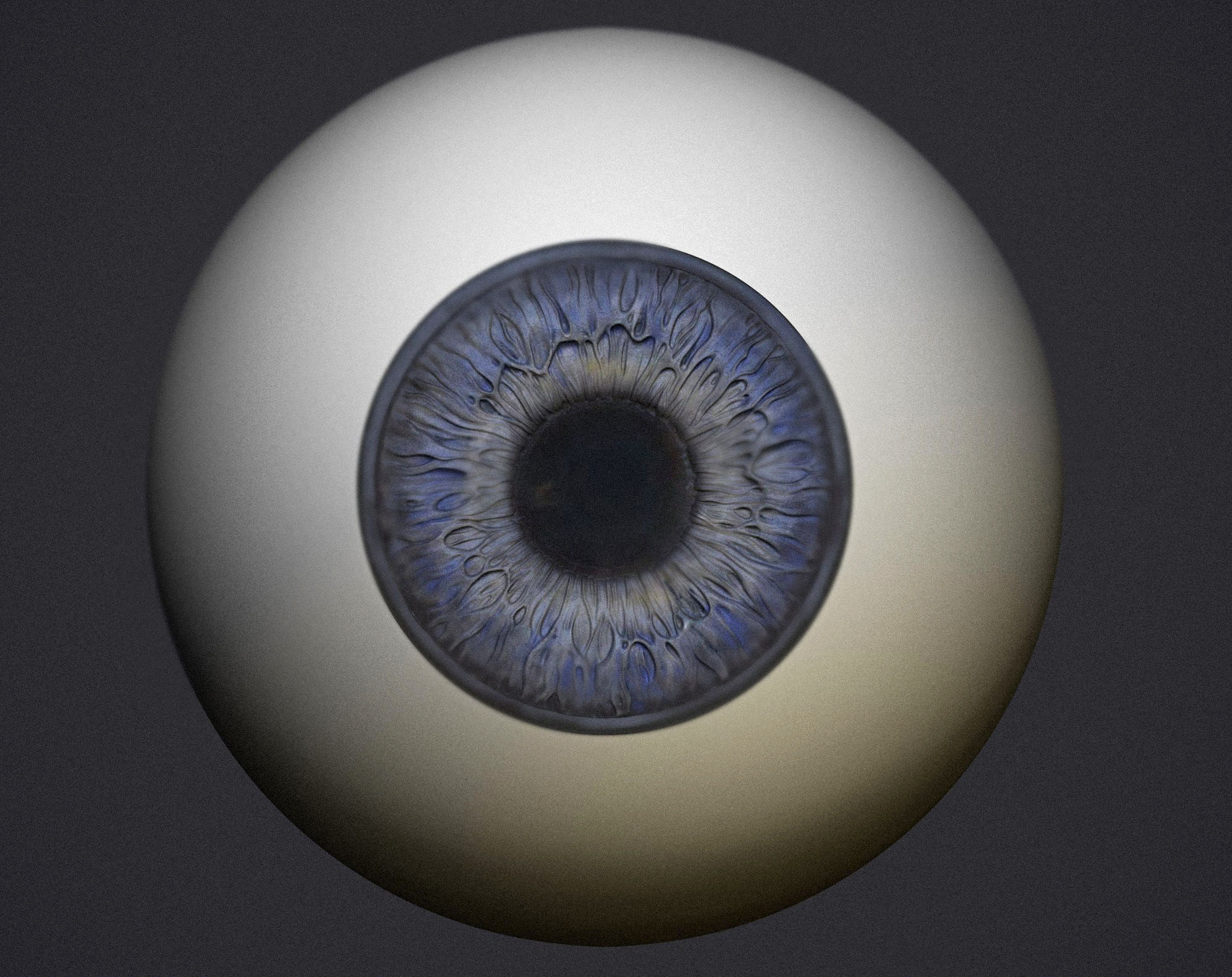 Human eye 3D model 3D printable | CGTrader