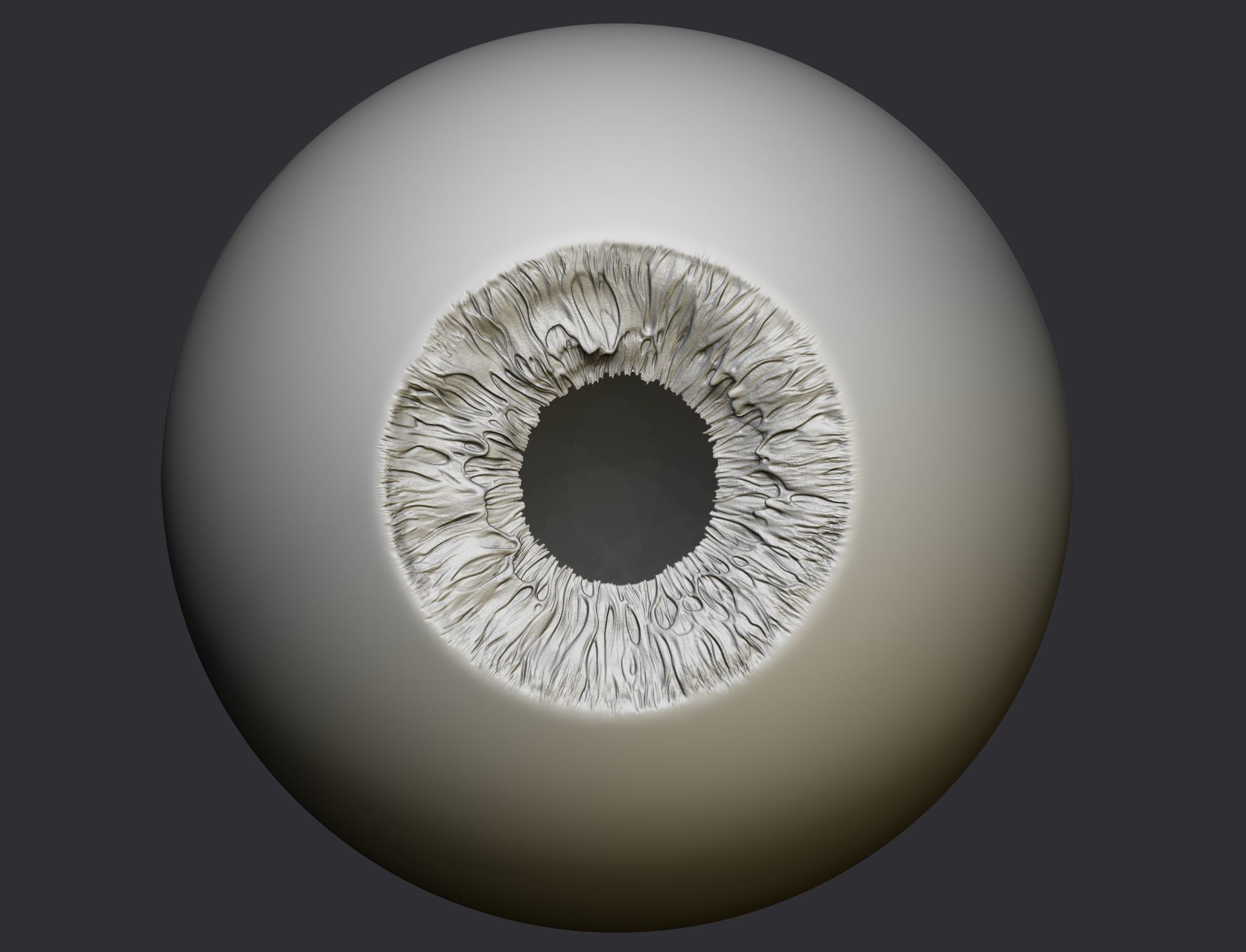 Human eye 3D model 3D printable | CGTrader