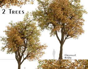 Chestnut 3D Models | CGTrader