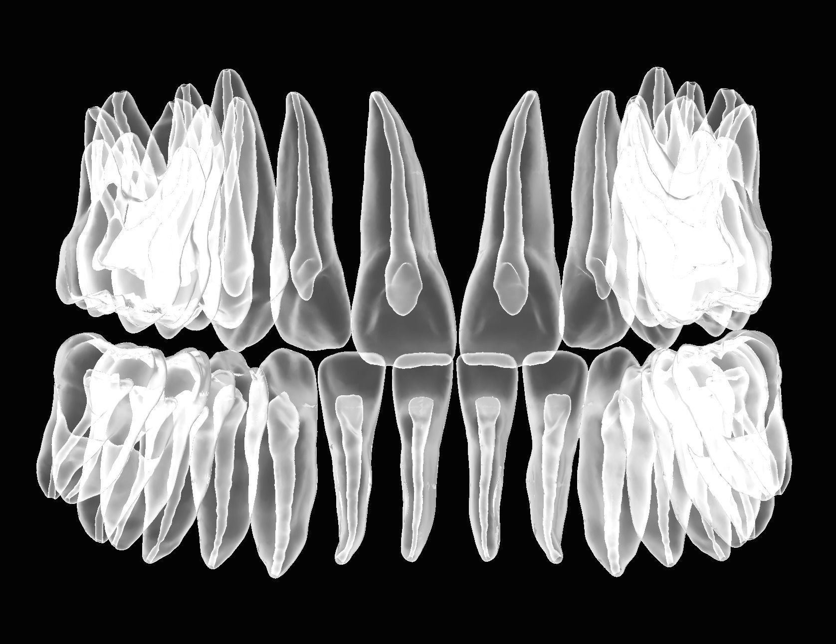 Maxillary and Mandibular teeth with pulp 3D model 3D printable | CGTrader