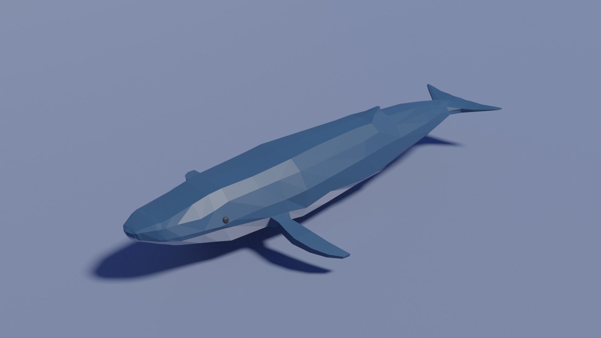 3D model Sea Animals Pack VR / AR / low-poly | CGTrader