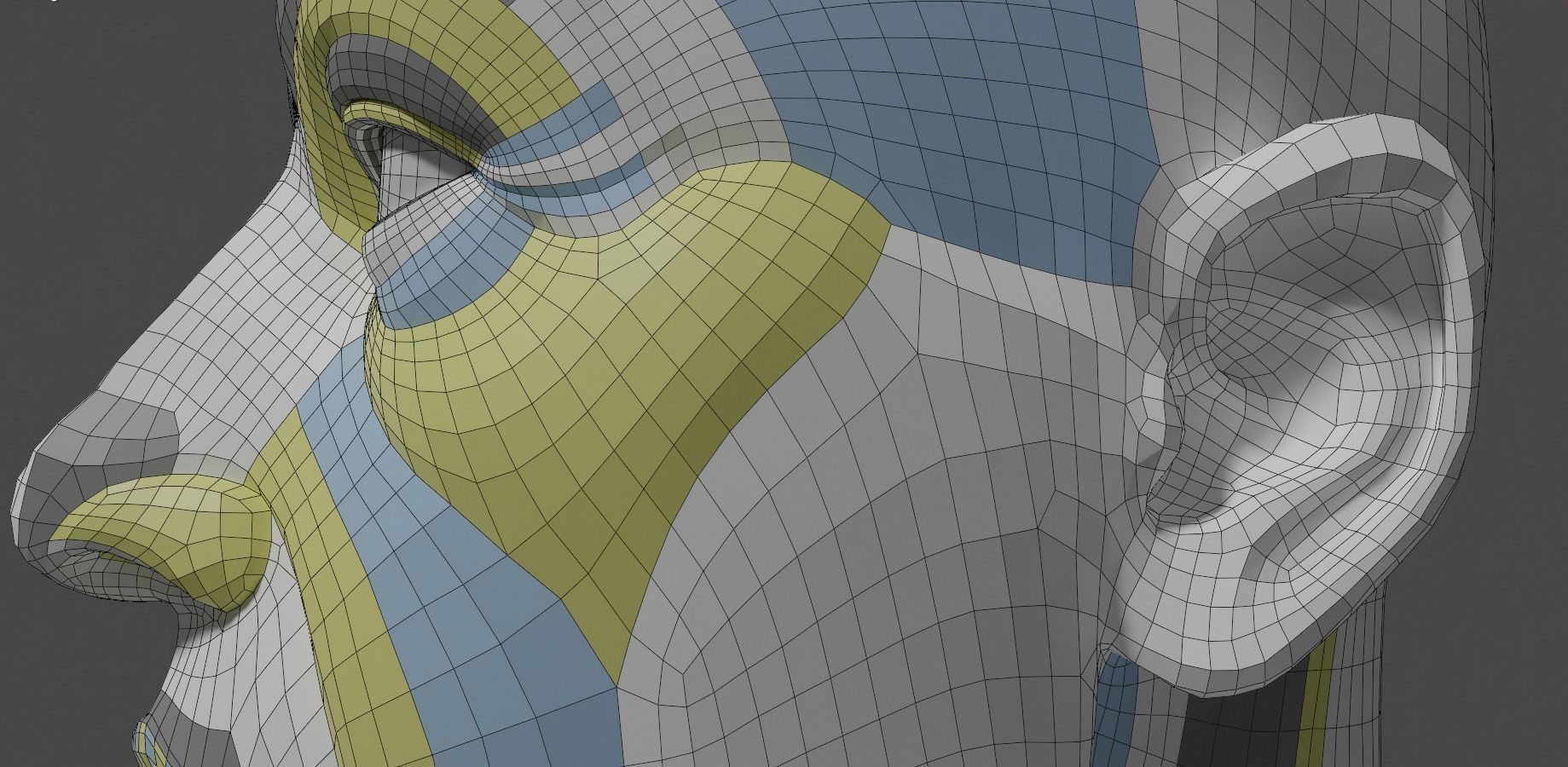 Generic head with anatomically based-topology 3D model | CGTrader