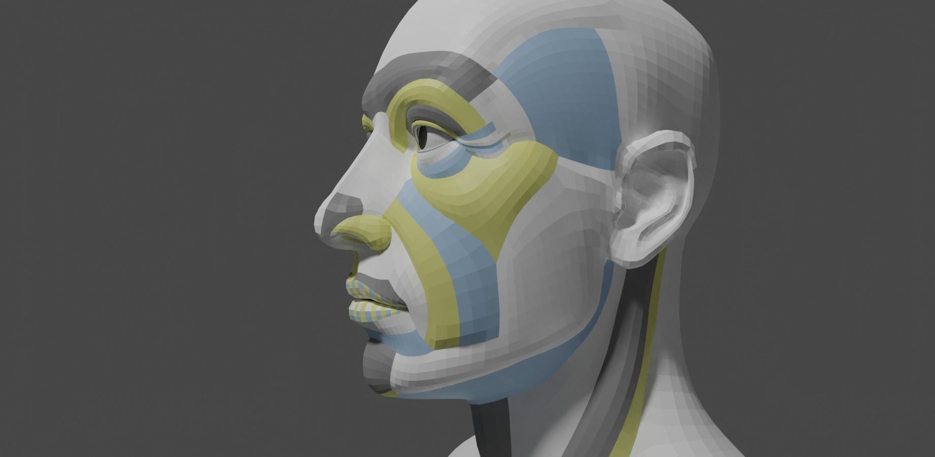 Generic head with anatomically based-topology 3D model | CGTrader