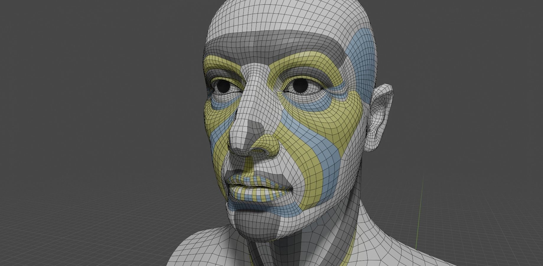Generic head with anatomically based-topology 3D model | CGTrader