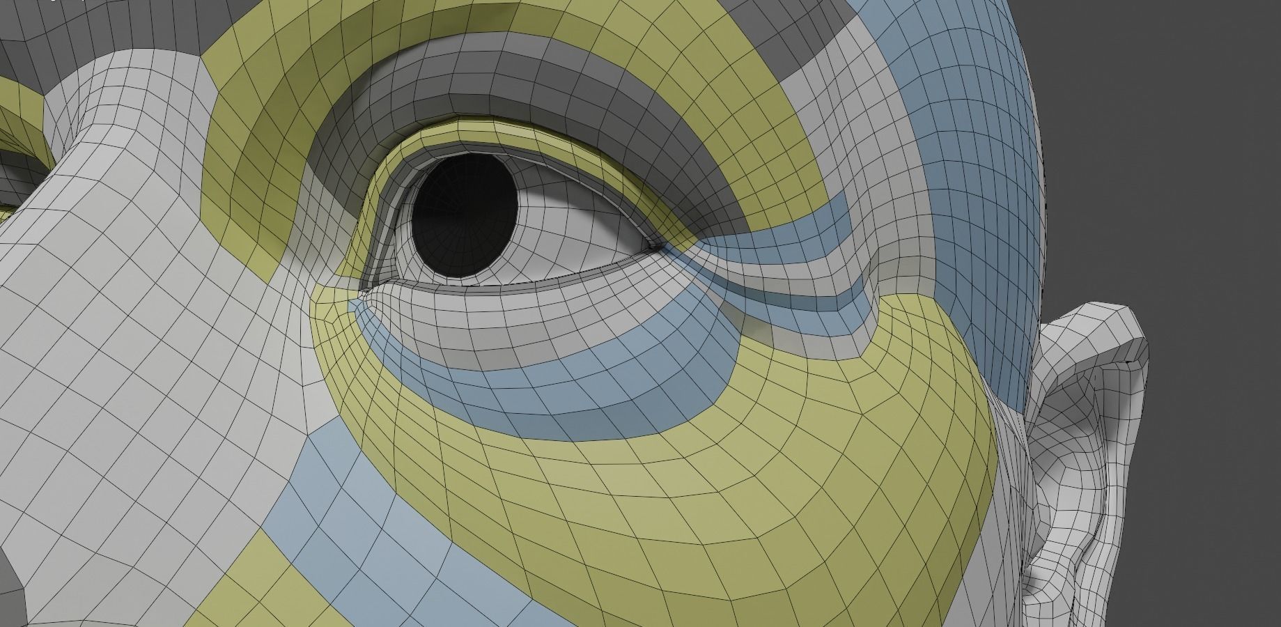 Generic head with anatomically based-topology 3D model | CGTrader