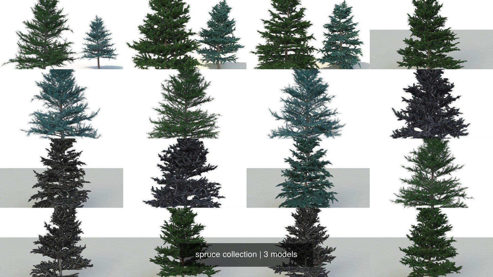 spruce collection two pine trees | CGTrader