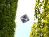 Dice X two 3D model | CGTrader