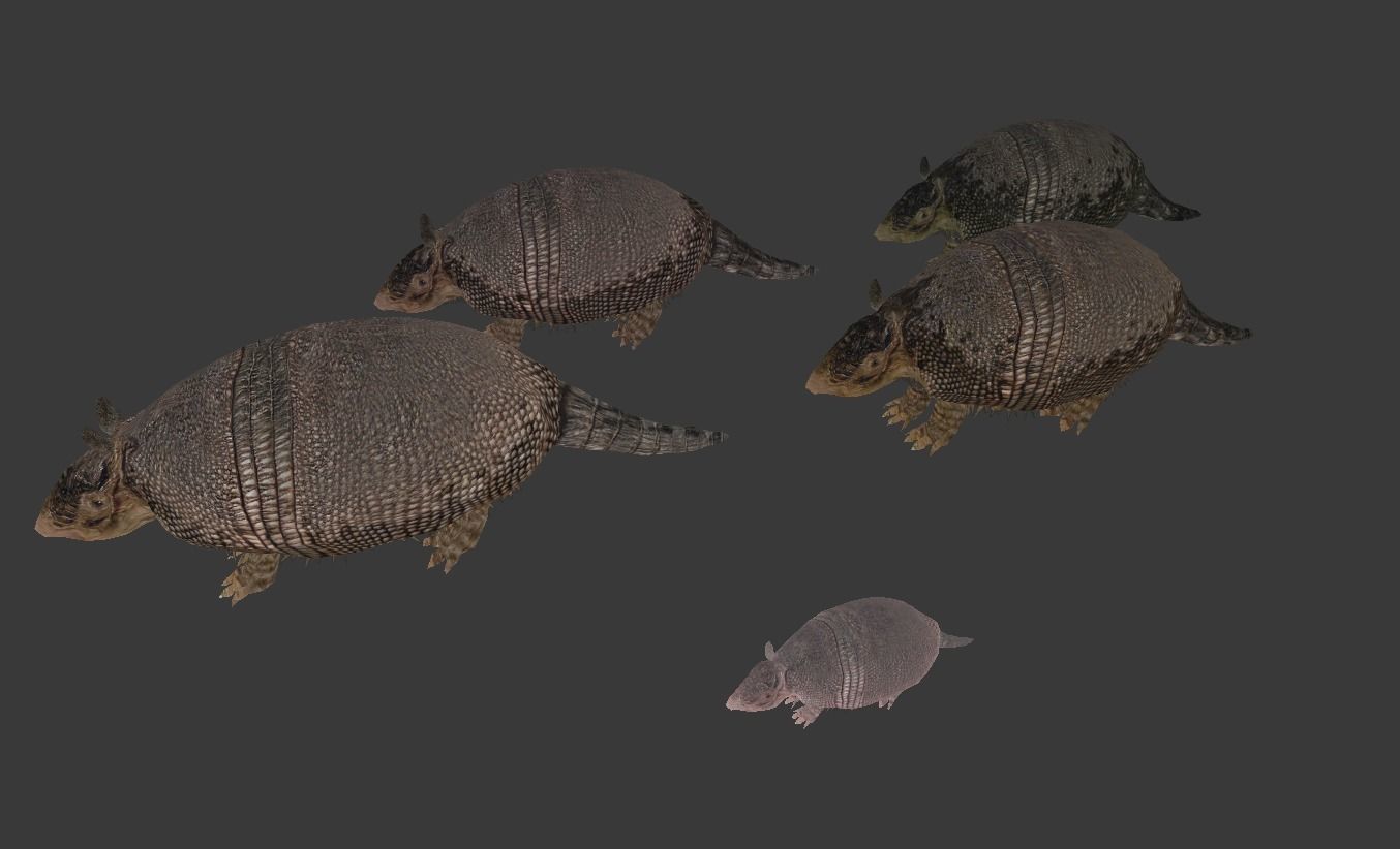 3D model Pampatherium armadillo VR / AR / low-poly | CGTrader