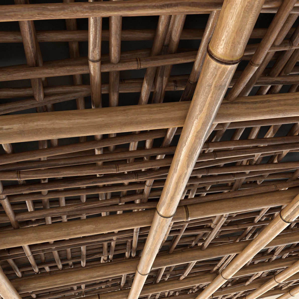Ceiling bamboo branch cage decor n1 3D model | CGTrader