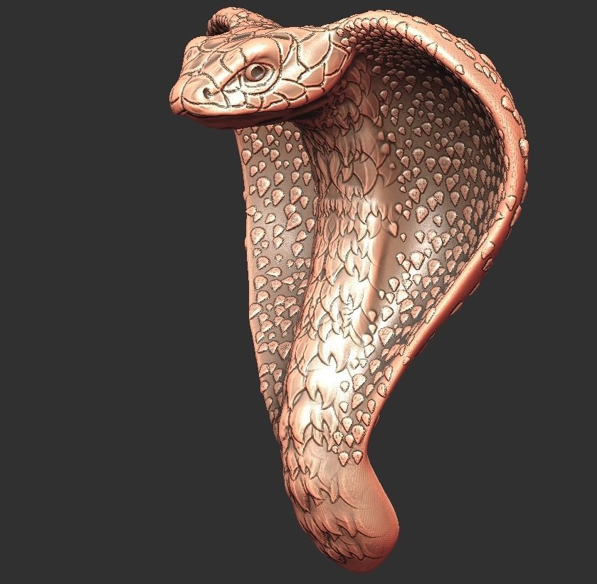 Snake cobra head 3D model 3D printable | CGTrader