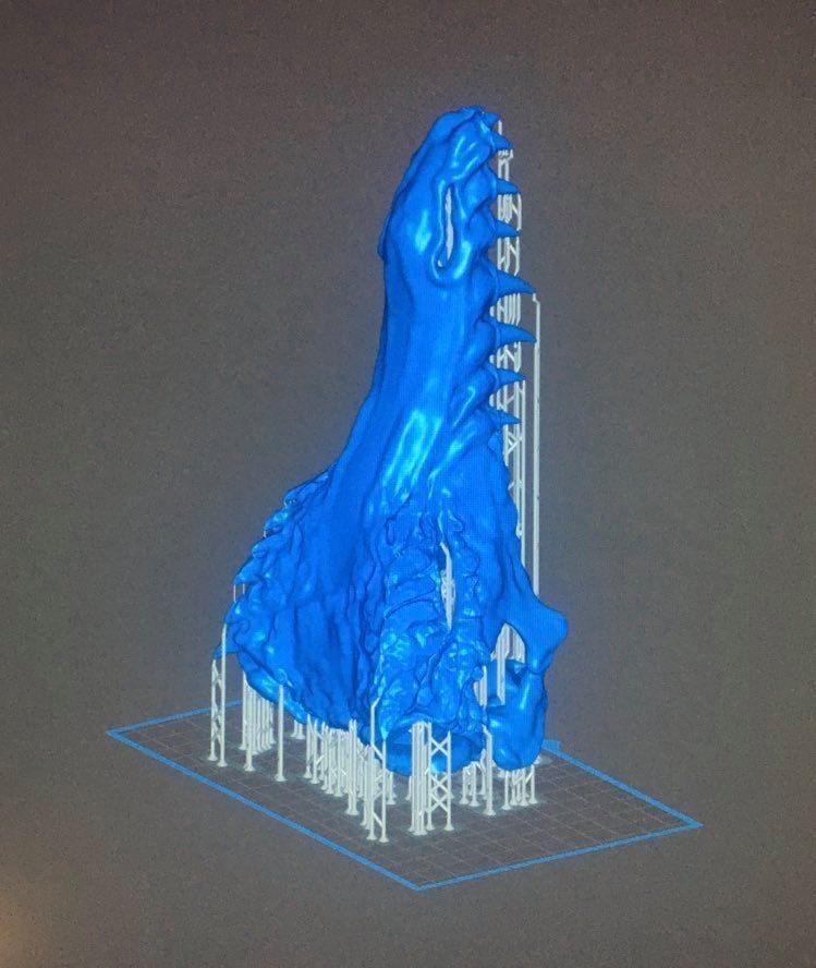 Dragon Skull - Pre-supported STL 3D model 3D printable | CGTrader