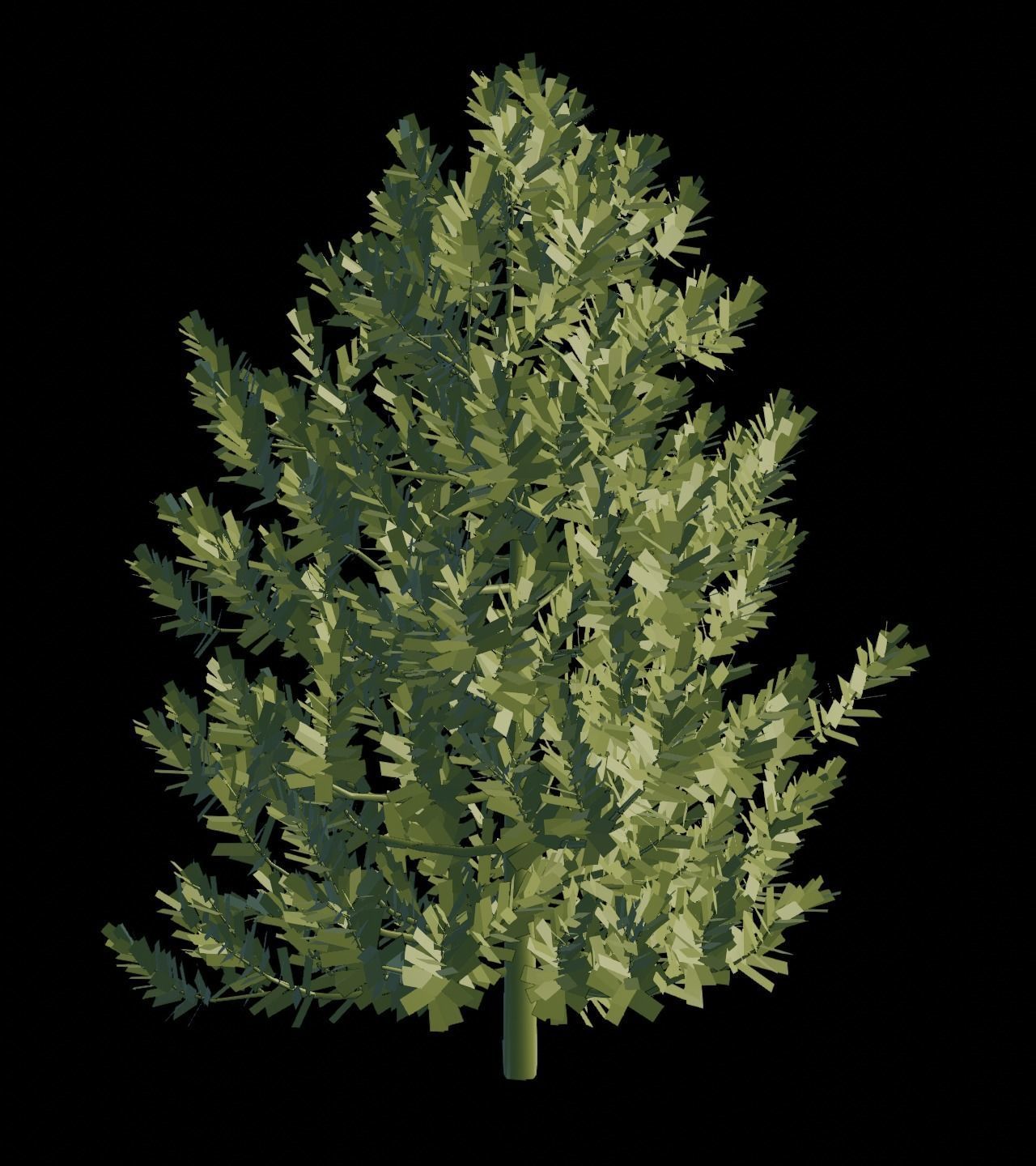 Spruce Tree Animated and Rigged 3D model animated rigged | CGTrader