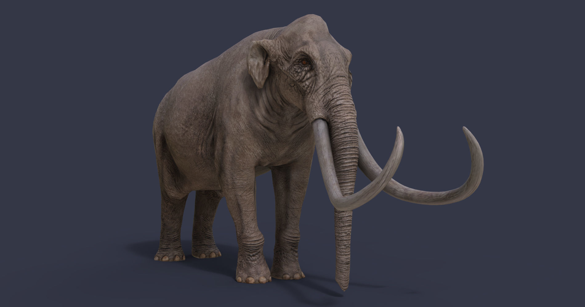 Columbian mammoth 3D model | CGTrader
