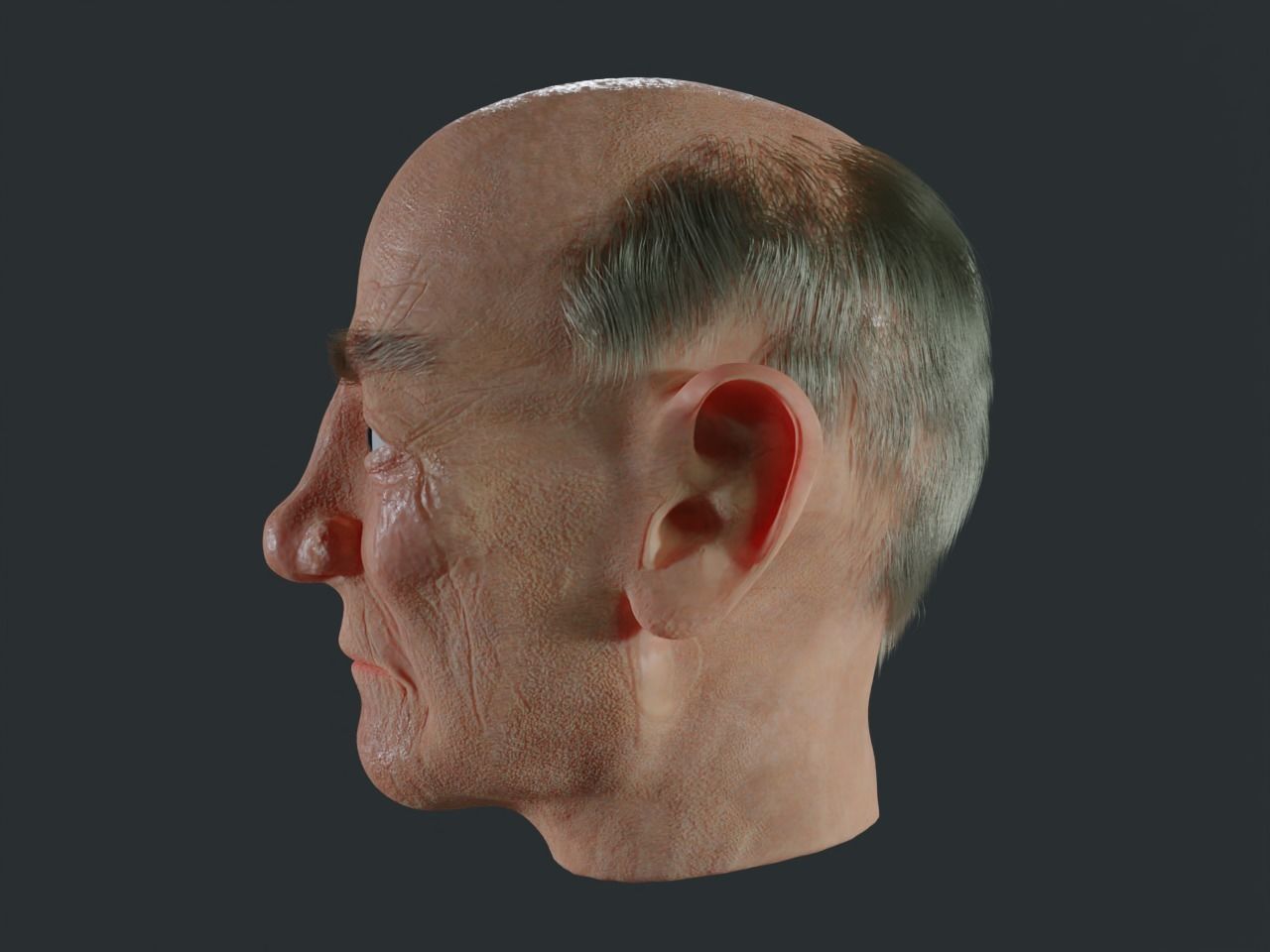 Old Mans Head 3D model | CGTrader