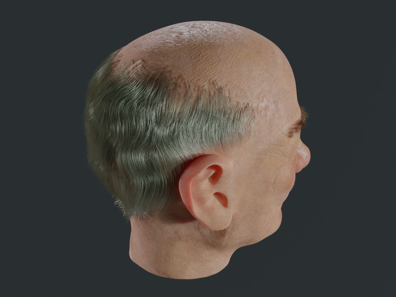 Old Mans Head 3D model | CGTrader