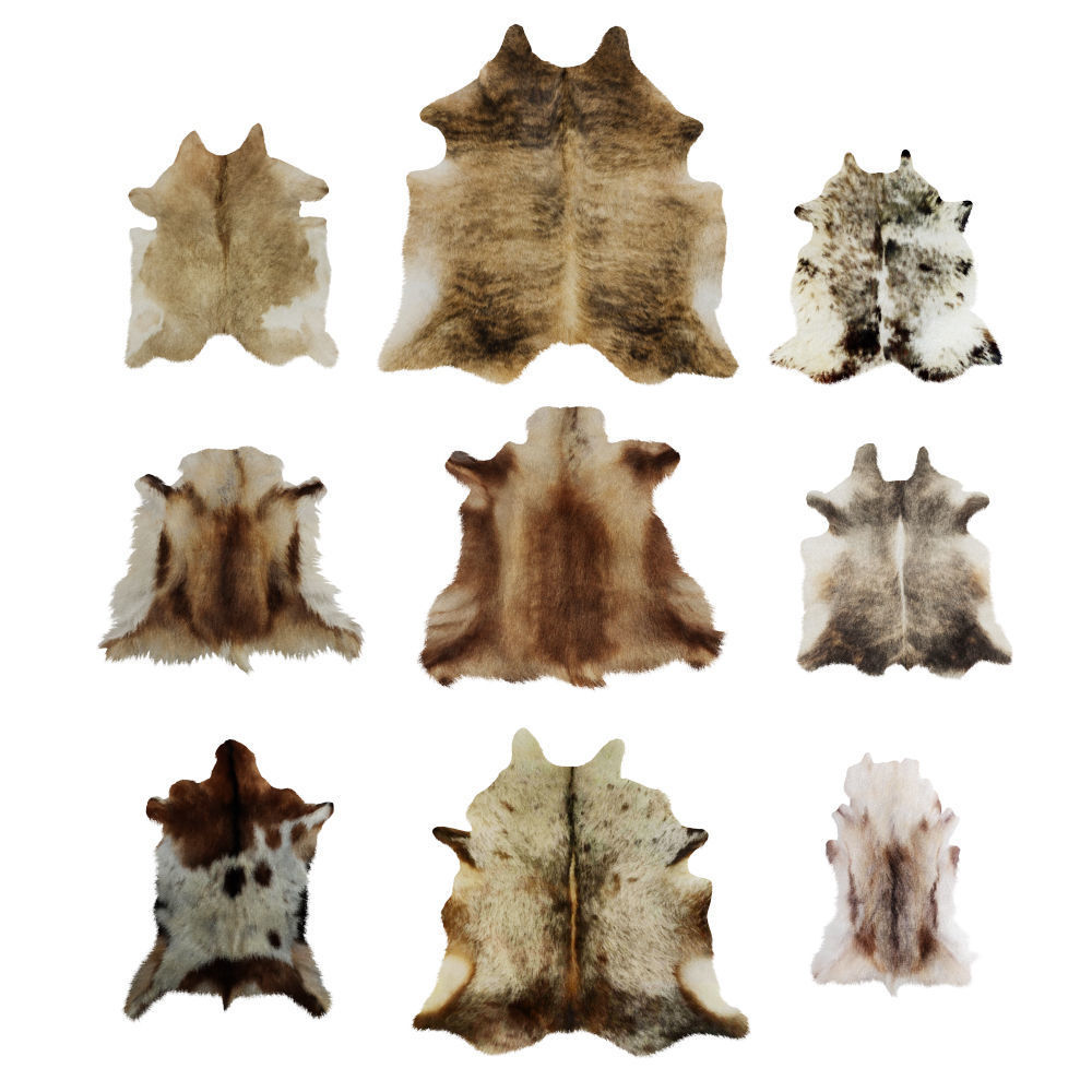 Nine Rugs From Animal Skins 10 3D model | CGTrader