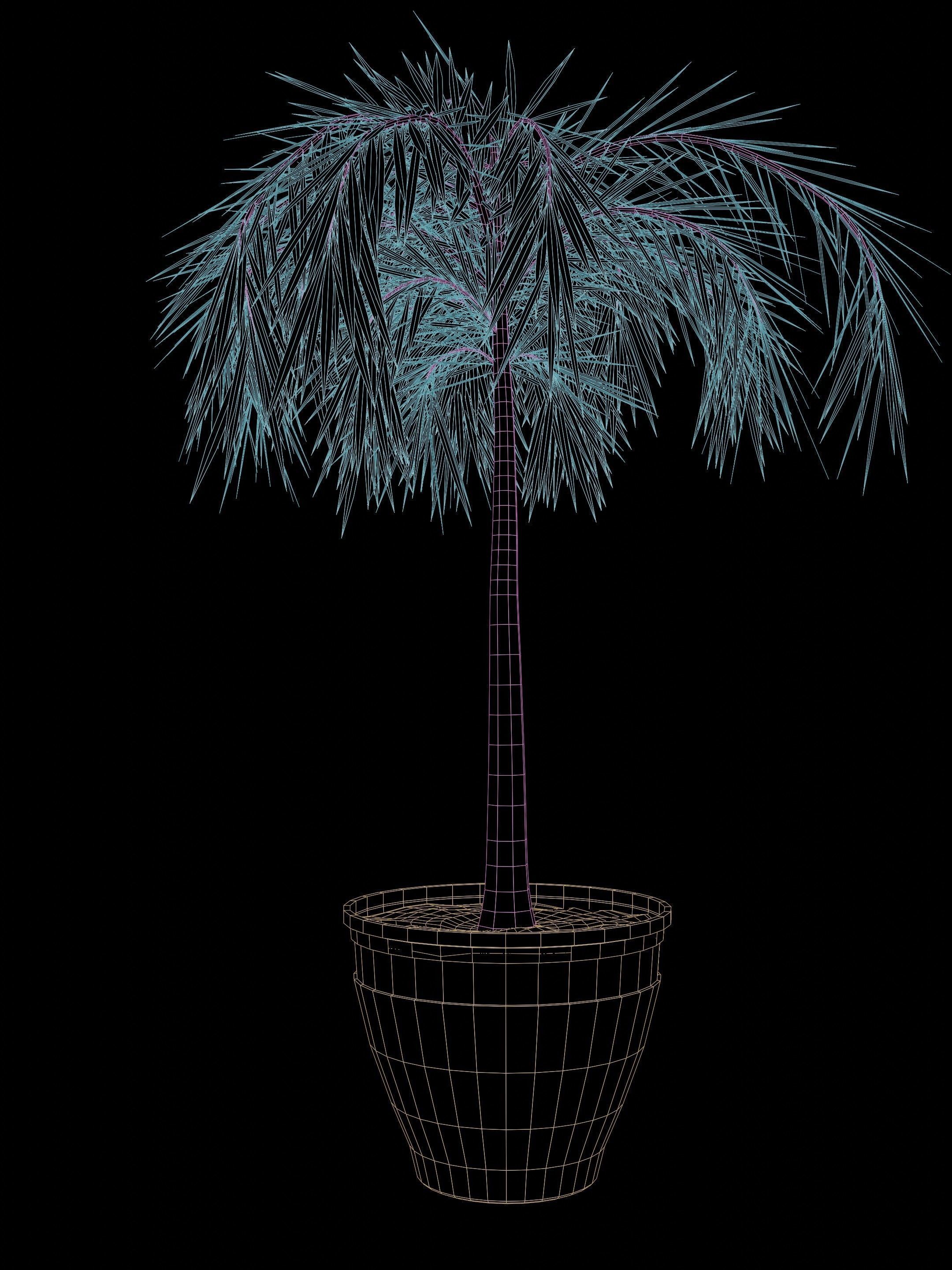 3D model Potted Palm tree Animated and Rigged VR / AR / low-poly | CGTrader
