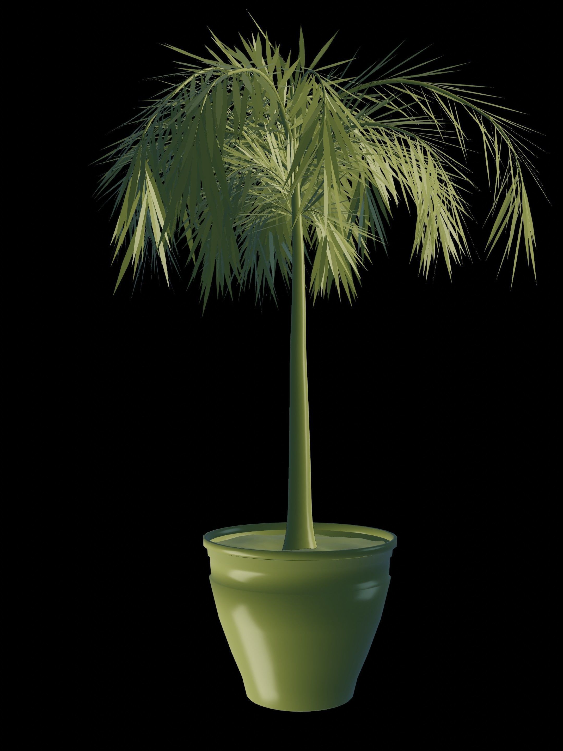 3D model Potted Palm tree Animated and Rigged VR / AR / low-poly | CGTrader