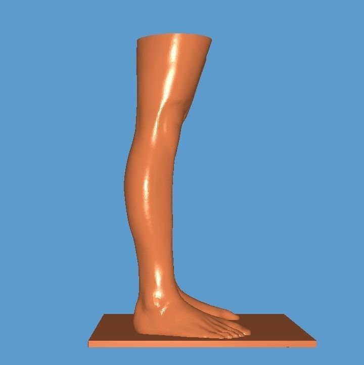 MakeIT Female Bust 3 Piece Top Body Base 3D Model 3D model | CGTrader