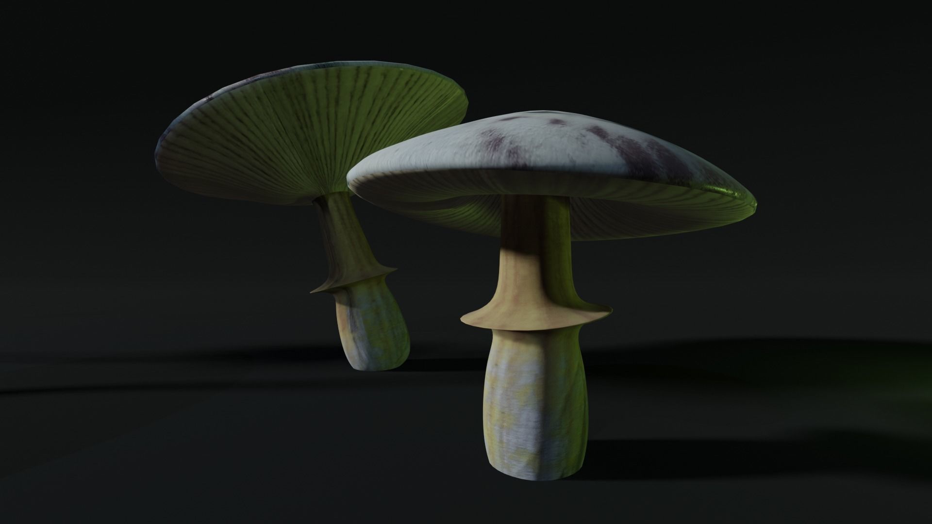 3D model Mushroom collection three mushrooms VR / AR / low-poly | CGTrader