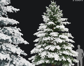 Winter 3D Models | CGTrader