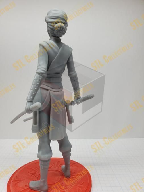 Darth Elsa and Jedi Anna Combo free 3D model 3D printable | CGTrader