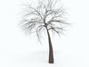 Tree 8 bare free 3D model | CGTrader