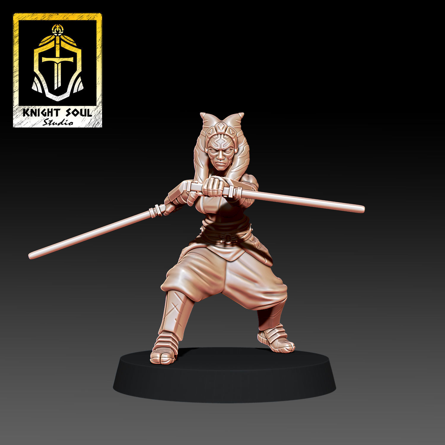 The Ronin 3D model 3D printable | CGTrader